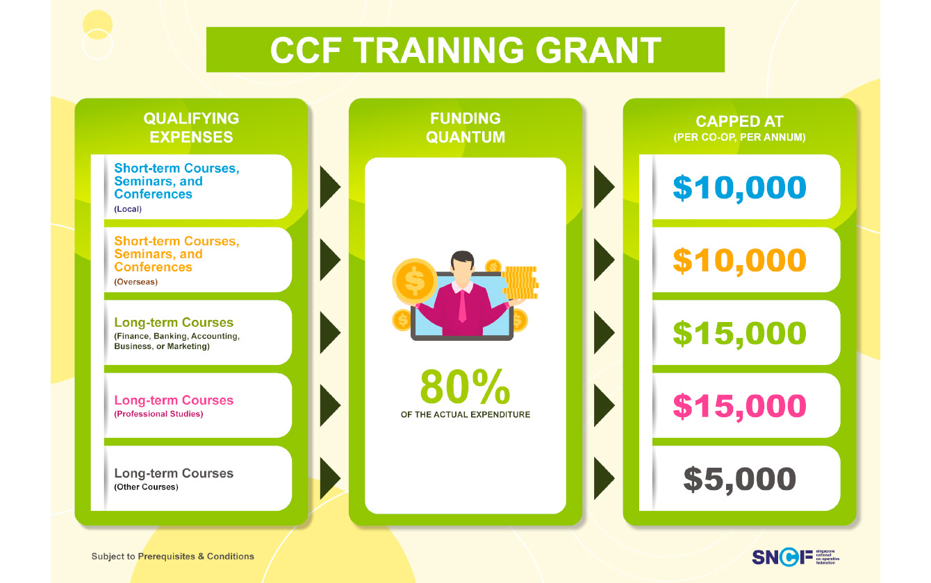 CCF Training Grant